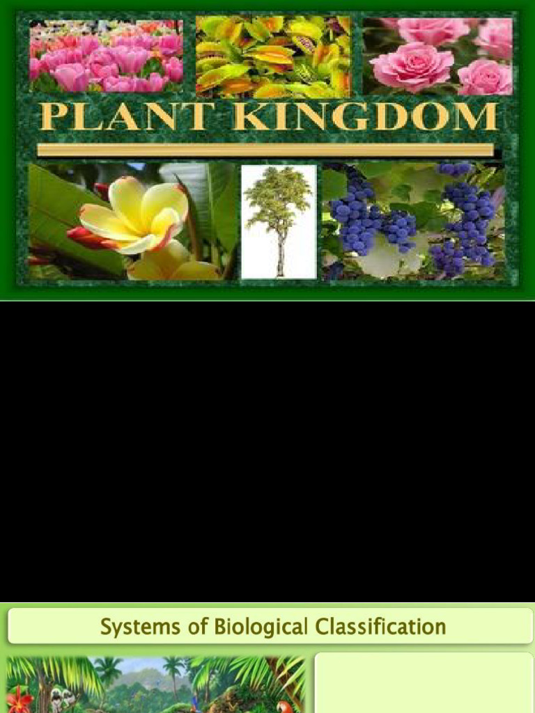 BRYOPHYTES | PDF