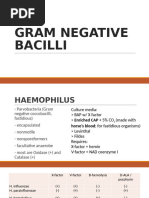 Small Pleomorphic Gram-Negative Bacilli | PDF | Gram Negative Bacteria ...