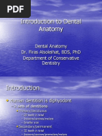 Triadan Tooth Numbering System | PDF