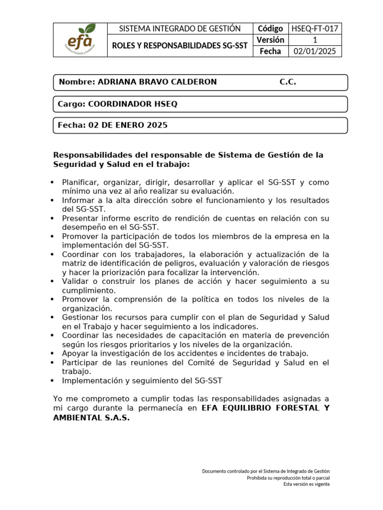 HSEQ-FT-017 Roles y Responsabilidades V1 (HSEQ) | PDF