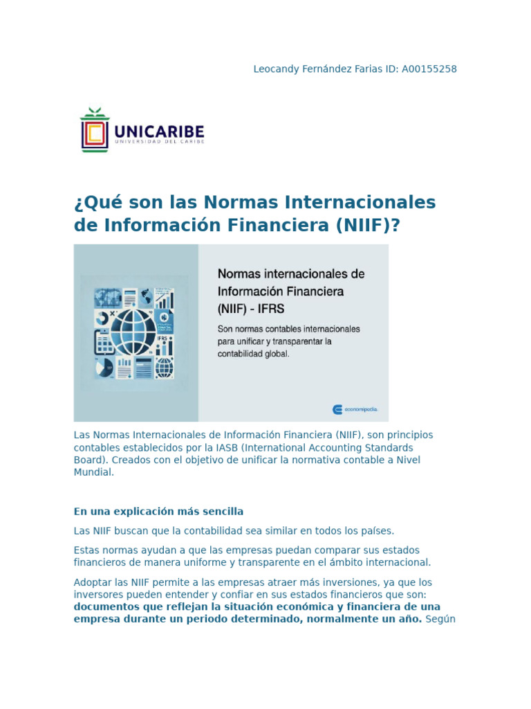 Normas Internacionales de La Informacion Financiera | PDF