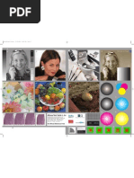 Onyx Quality Evaluation Guide | PDF | Printing | Computer Graphics