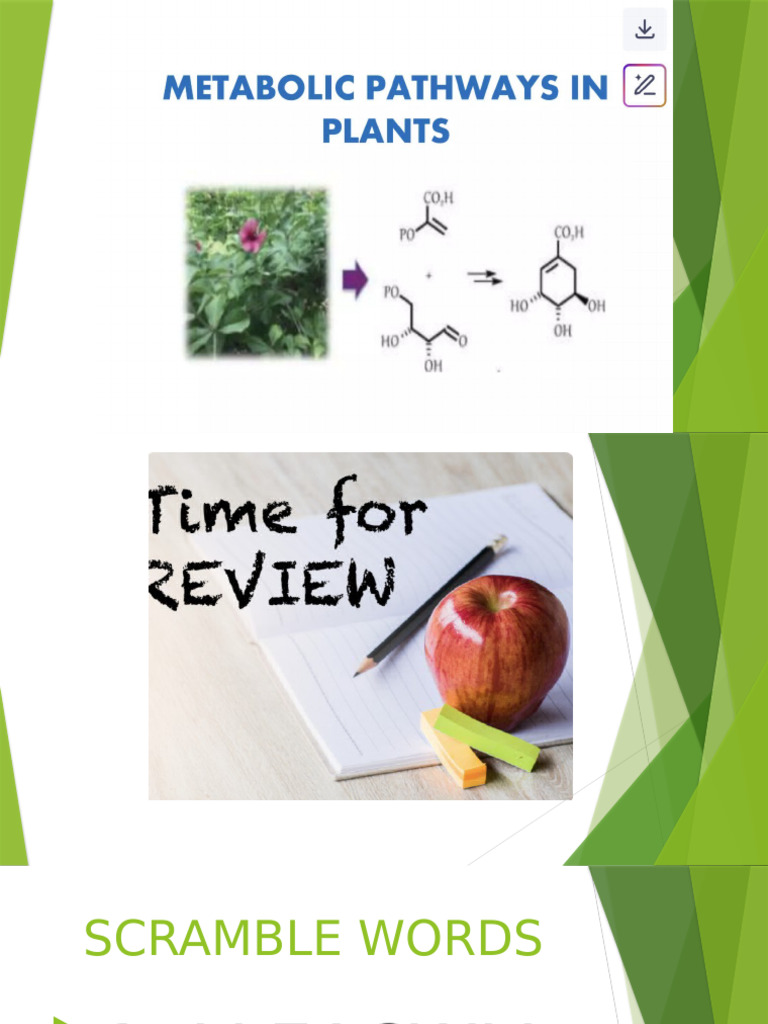 Metabolic Pathways | PDF