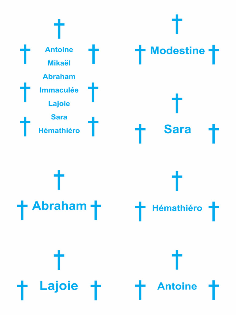 Croix Bleu 3 en 1 | PDF