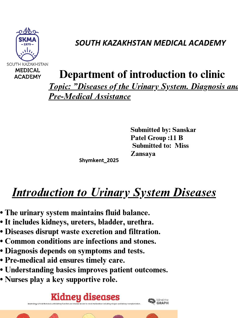 Urinary System Diseases - PPTX 20250924 112329 0000 | PDF | Urinary ...