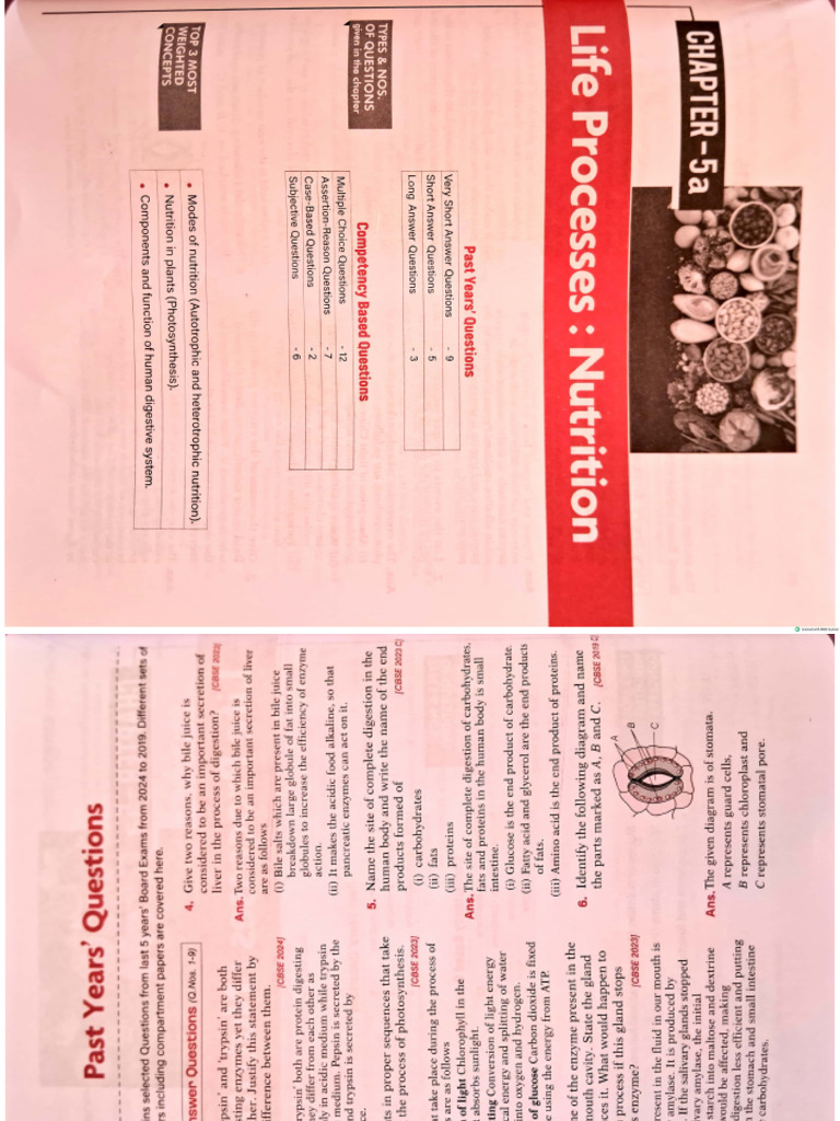 Life Processes | PDF