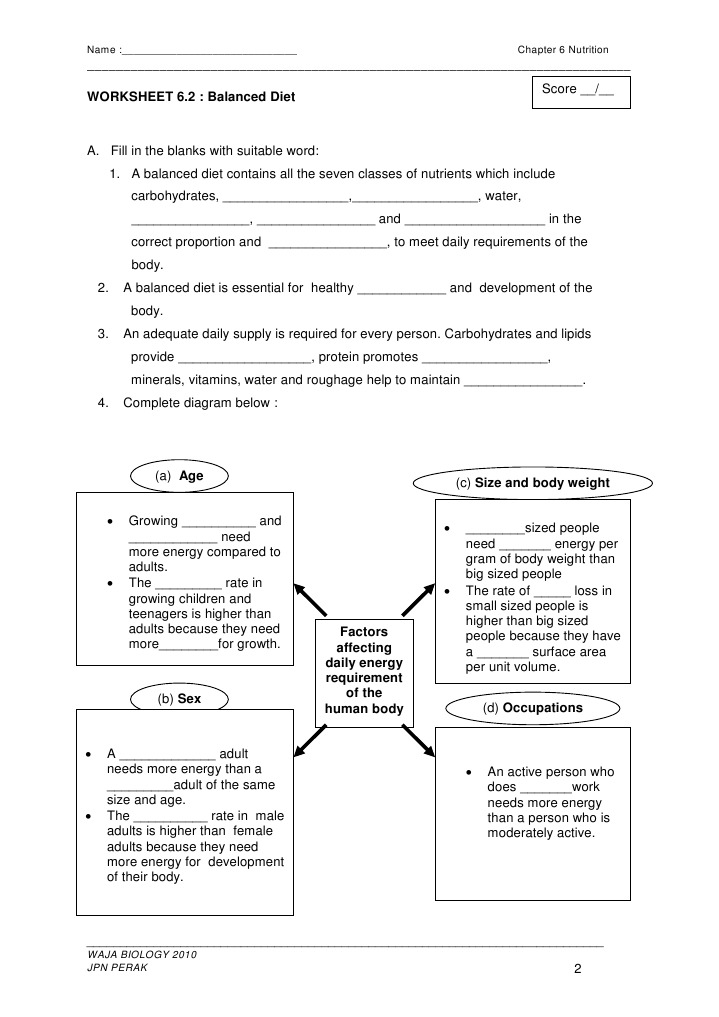 Balanced Diet Worksheet for Grade 6 | PDF | Diet (Nutrition) | Diet ...