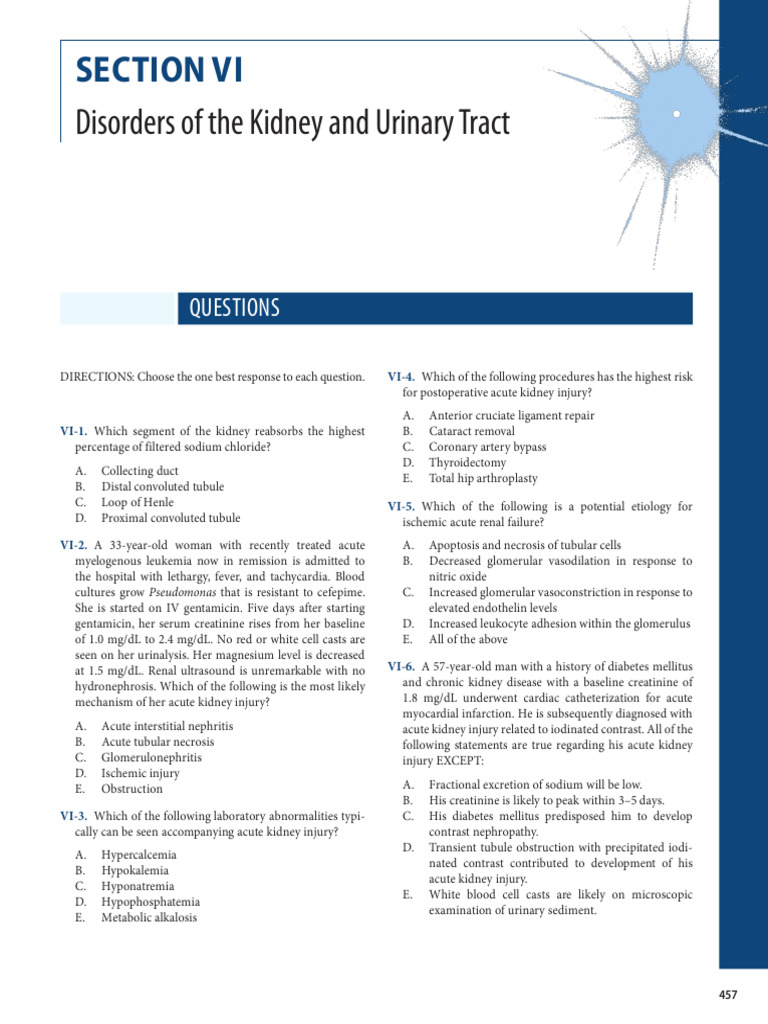 Nephrology | PDF | Kidney | Creatinine