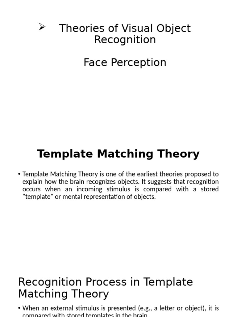 Theories of Visual Object Recognition | PDF | Face | Perception