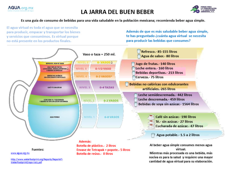 Jarra del Buen Beber: Guía Infantil | PDF | Bebida | Litro