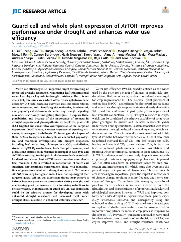 Guard Cell and Whole Plant Expression of TOR Improves Performance Under ...