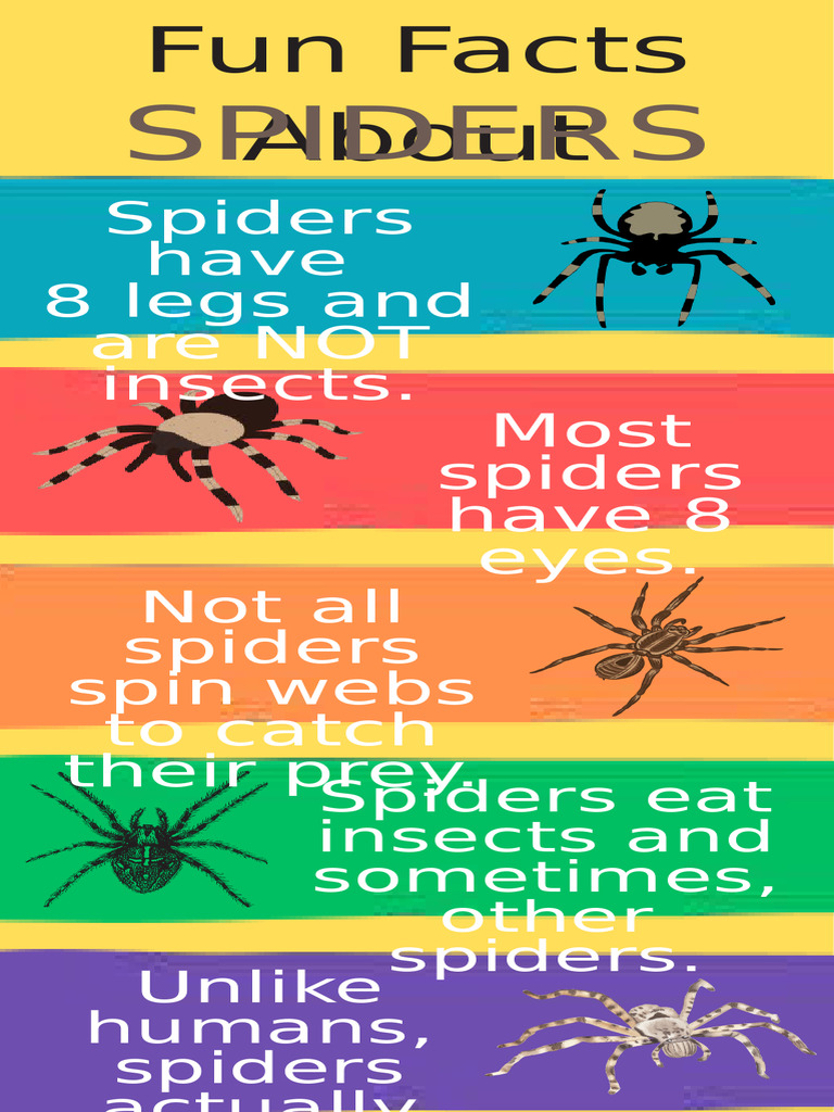 Fun Facts About Spiders Infographic in Blue Yellow Illustrative Style | PDF