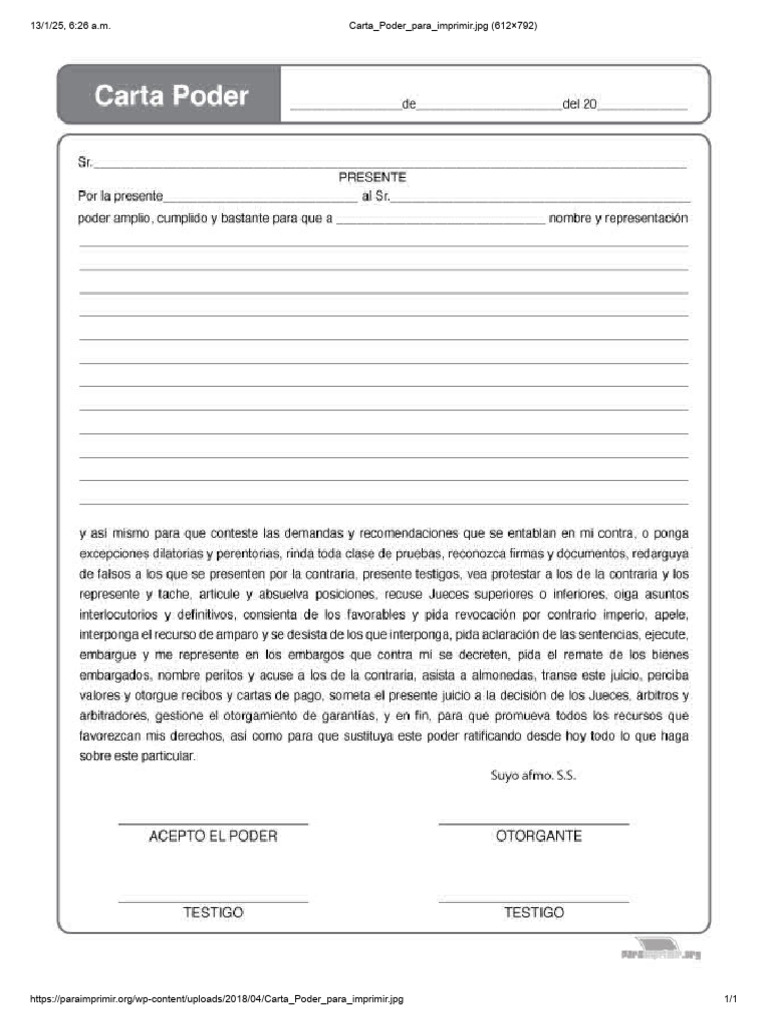 Carta Poder en Blanco | PDF