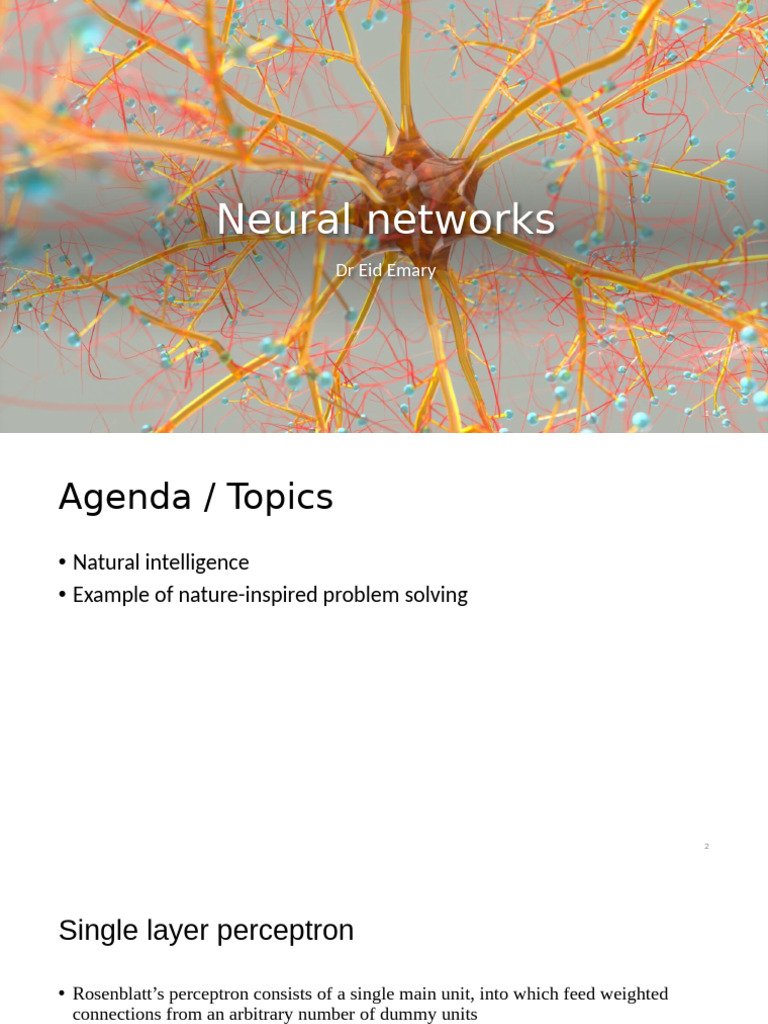 8-Neural Networkks (Perceptron and Delta Rues) | PDF | Gradient | Function (Mathematics)