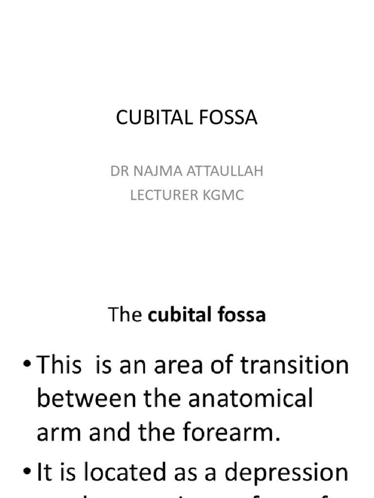 Cubital Fossa | PDF