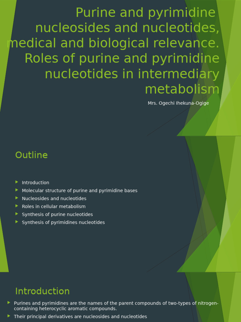 Purine and Pyrimidine Nucleosides and Nucleotides Lecture | PDF ...