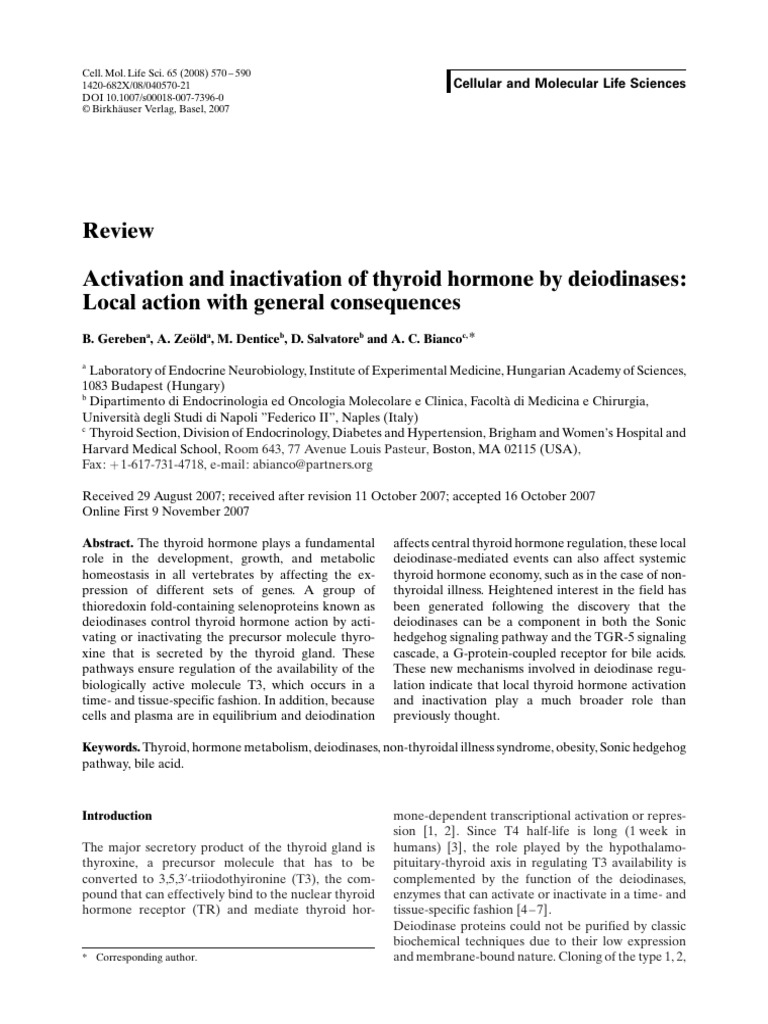 Activation and Inactivation of Thyroid Hormone by Deiodinases Local ...