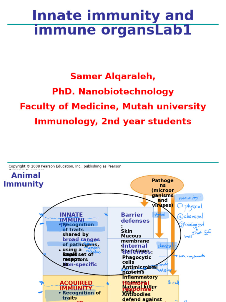 The Immune System Lab.1 | PDF | Lymphatic System | Immune System