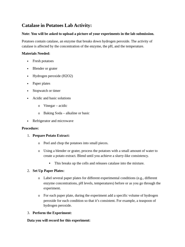 Extracting Catalase from Potatoes Lab | PDF | Catalase | Hydrogen Peroxide