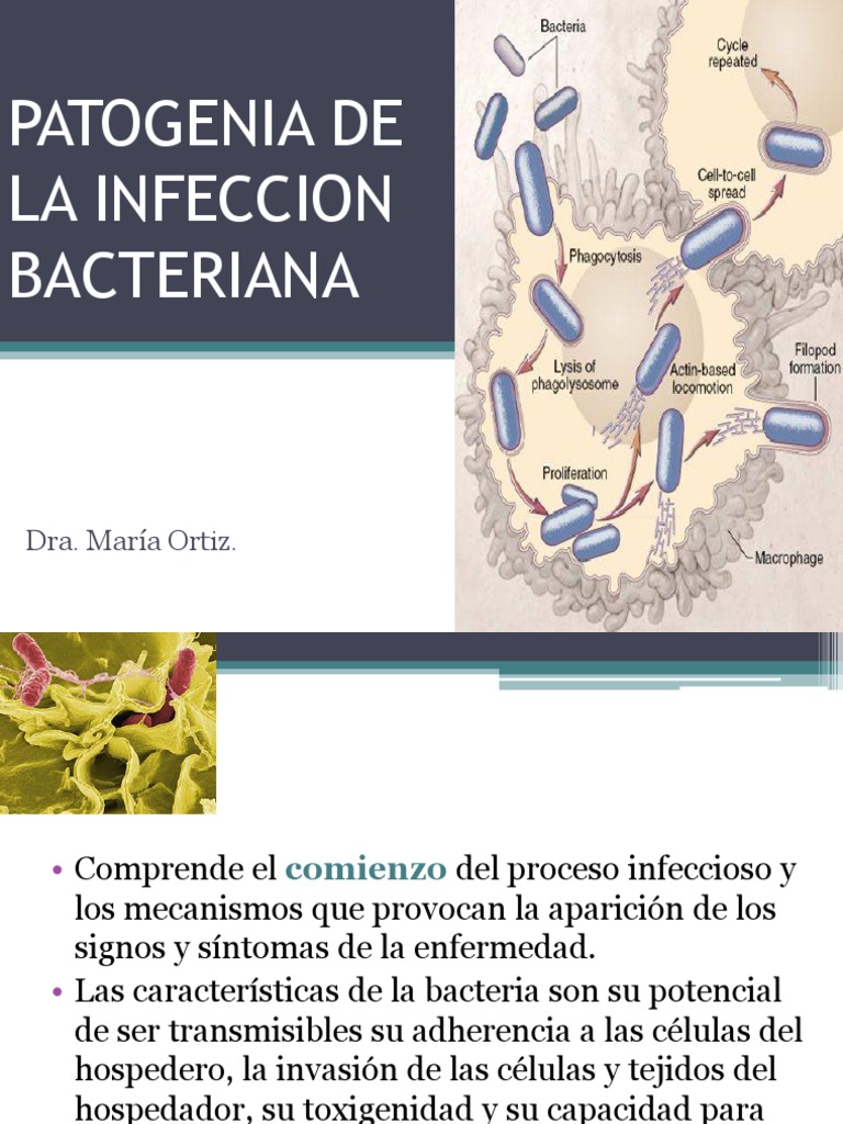 Patogenia de La Infeccion Bacteriana.pptx12 | Secreción | Ciencias de ...