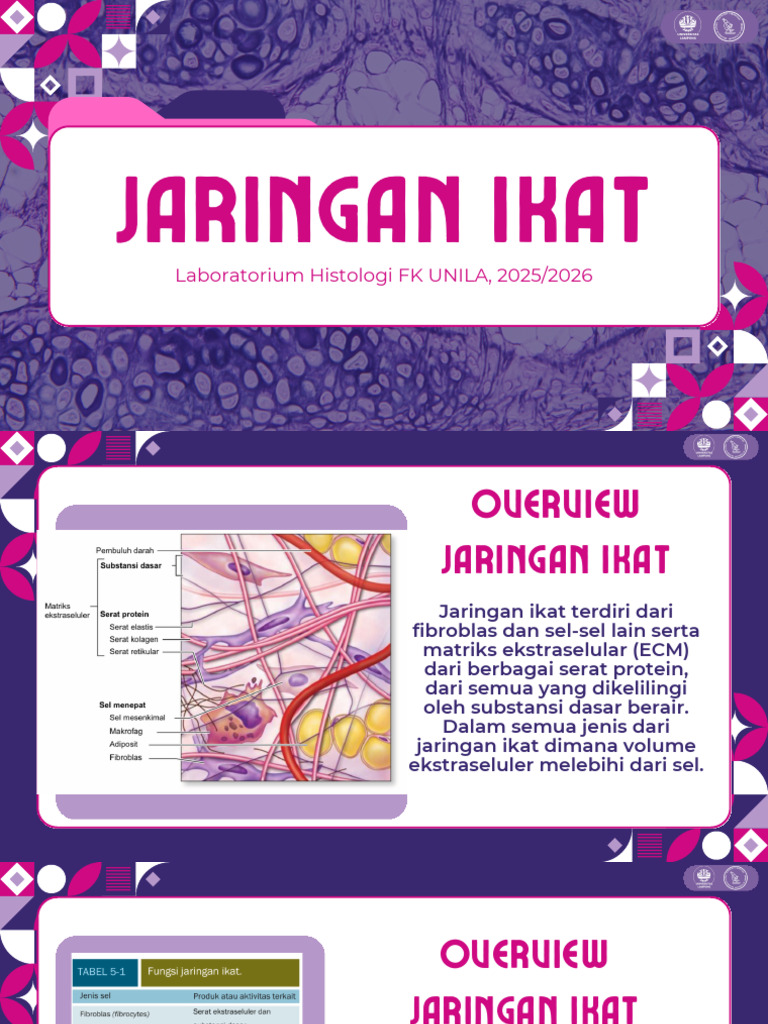 Jaringan Ikat PDF | PDF