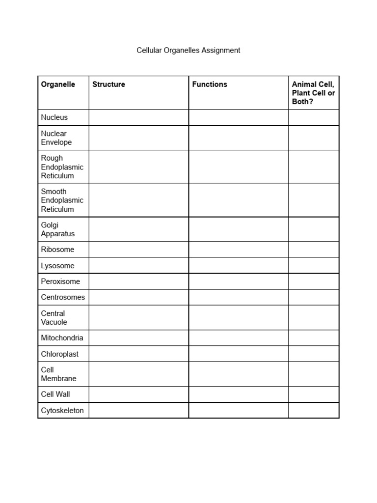 Assignment - Cell Organelles | PDF