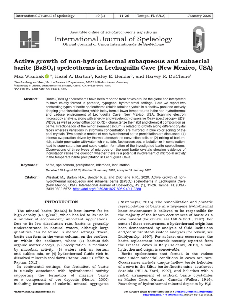 Barite Speleothems in Lechuguilla Cave | PDF | Minerals | Scanning ...