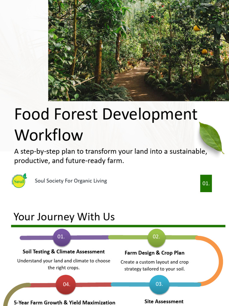 Food Forest Development Workflow | PDF | Soil | Soil Fertility