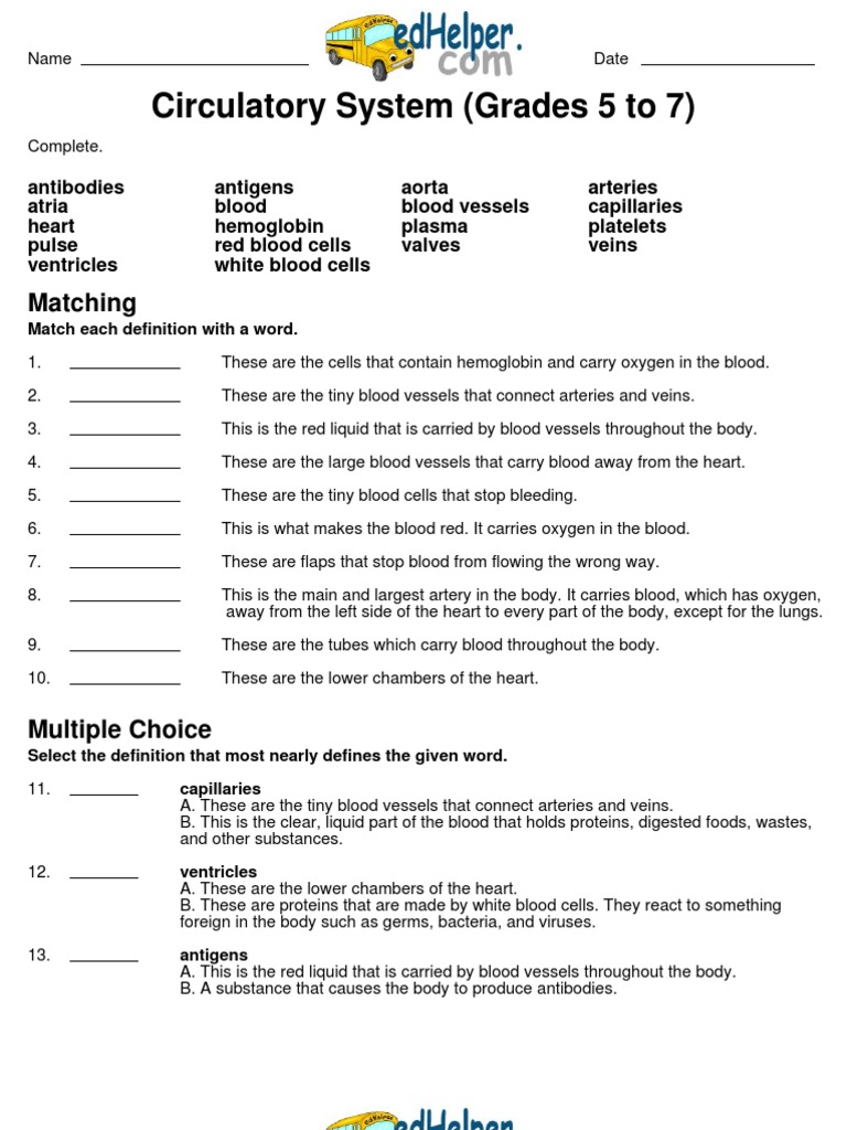 Circulatory System Grades 5 To 7 | PDF | Heart | Blood