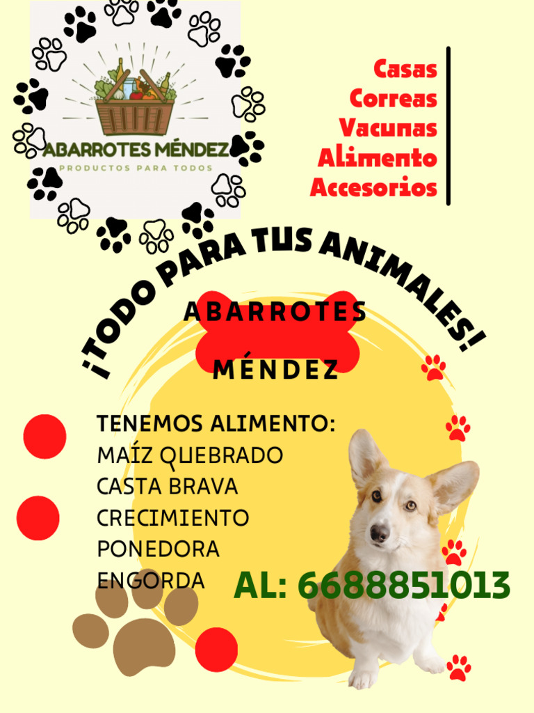 Flyer para Veterinaria Llamativo Rojo y Beige | PDF