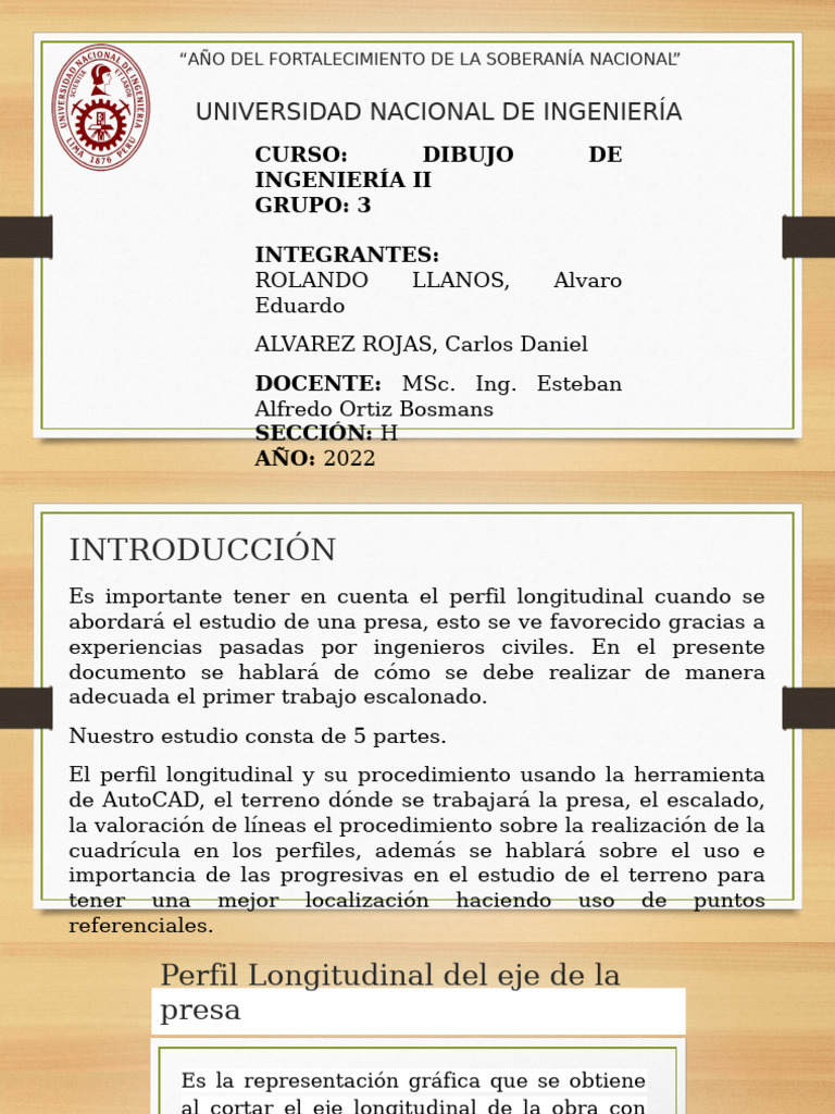 Grupo 3 - Perfil Longitudinal | PDF