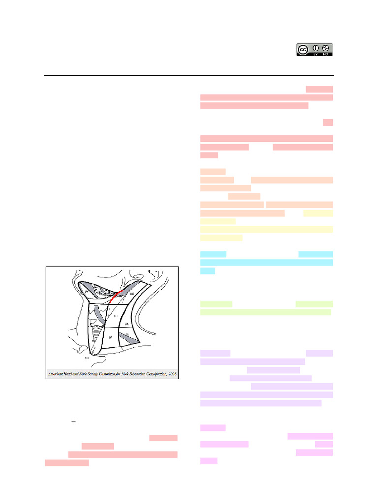 Modified Neck Dissection Overview | PDF | Neck | Common Carotid Artery