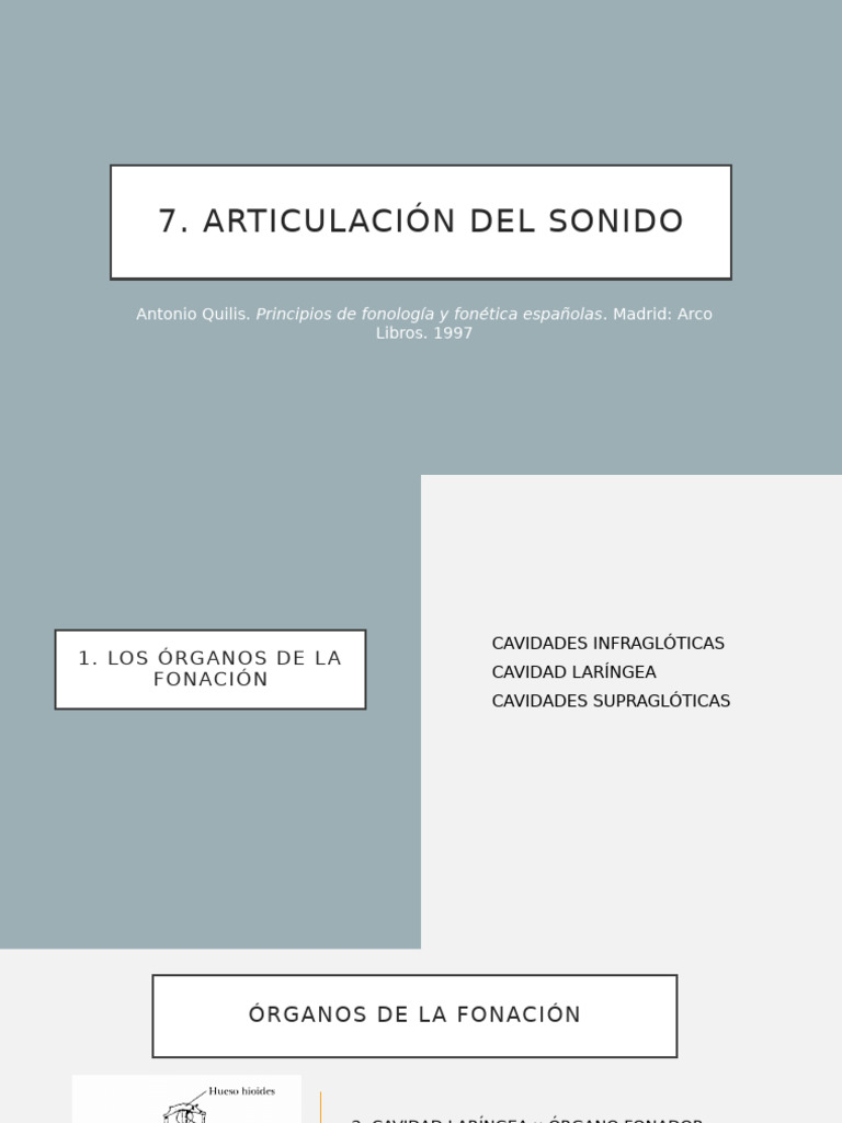 Articulación Del Sonido | PDF | Voz humana | Garganta Humana