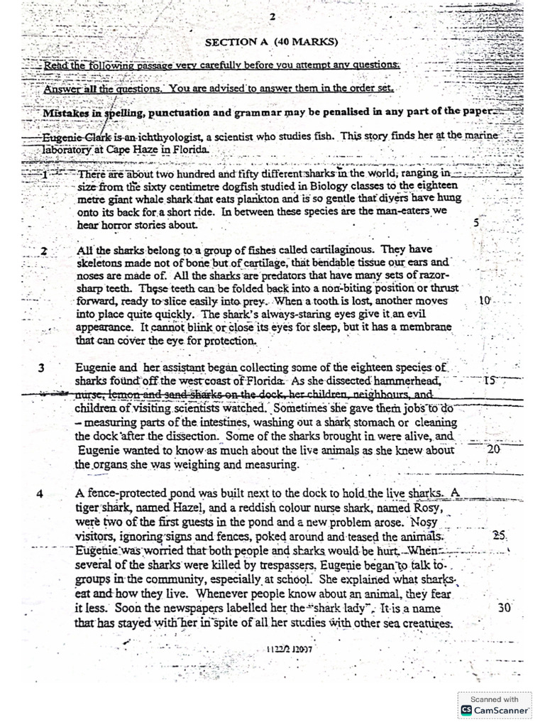 Sharks June 2007 | PDF
