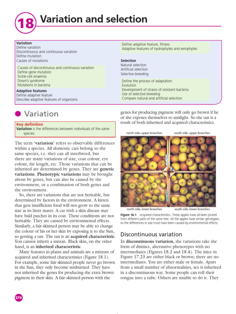 Cambridge Igcse Biology 3rd Edition | PDF | Mutation | Stoma