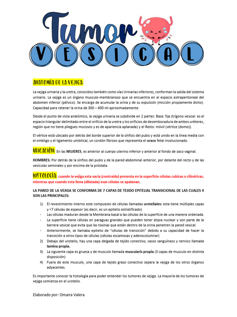 Tumor Vesical | PDF | Urología | Especialidades Medicas