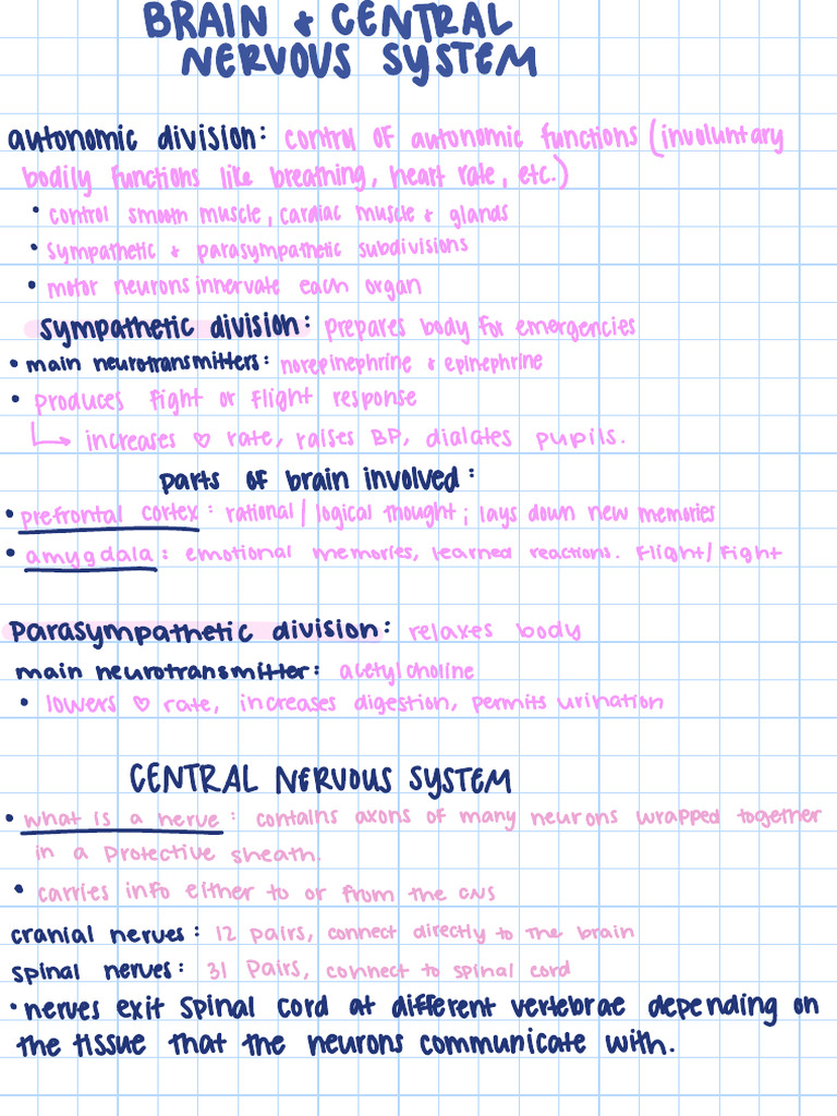 3.6 Brain and CNS | PDF