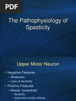 Tardieu Scale | Anatomical Terms Of Motion | Limbs (Anatomy)