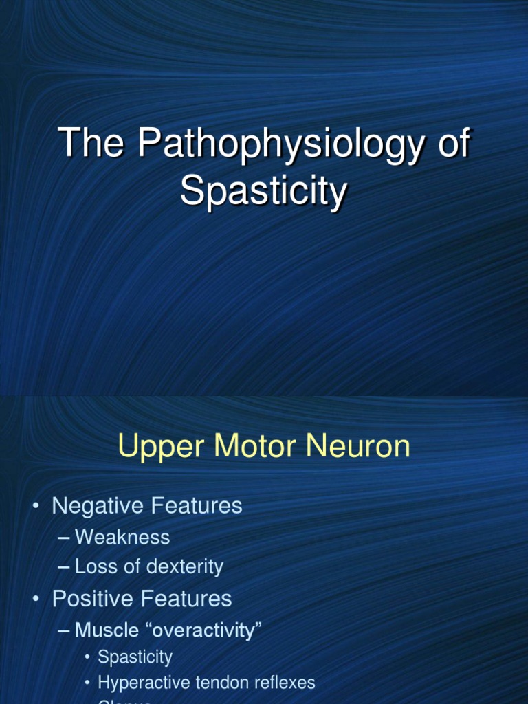 The Pathophysiology of Spasticity | PDF | Nervous System | Neuroscience