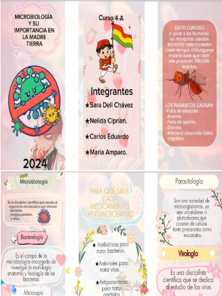 Nuevos Tripticos | PDF