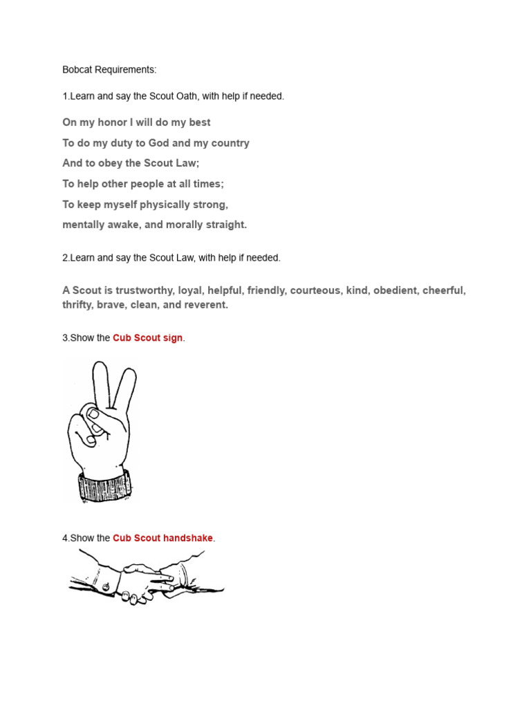 Bobcat Requirements | PDF