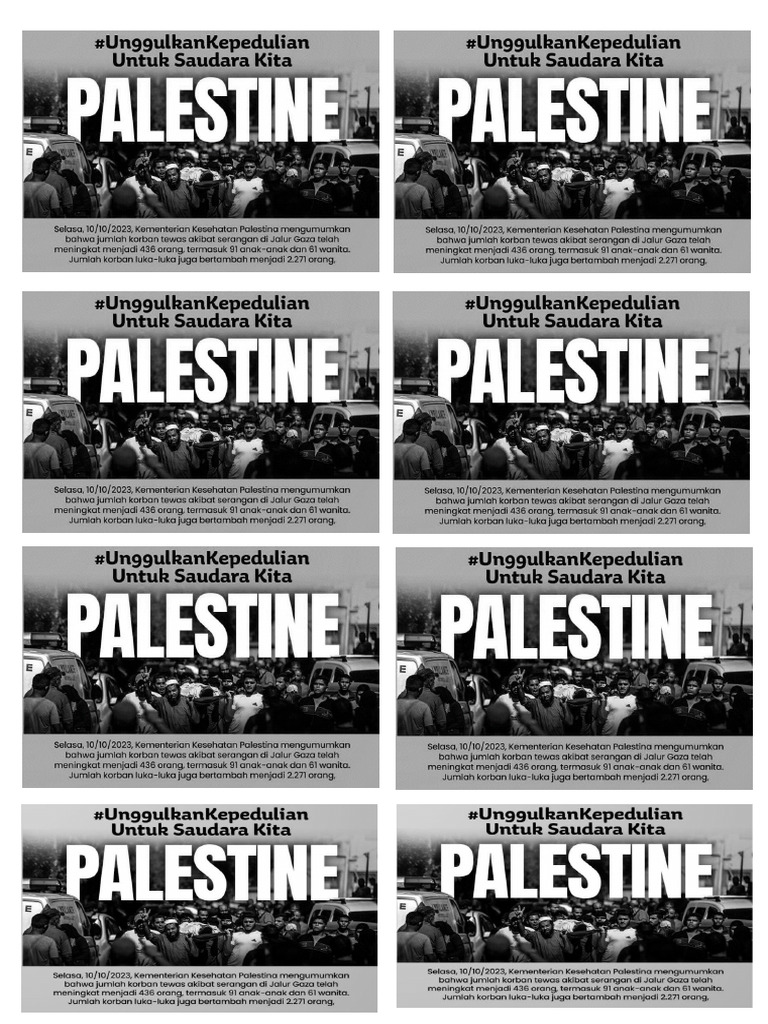 Flyer Palestine | PDF