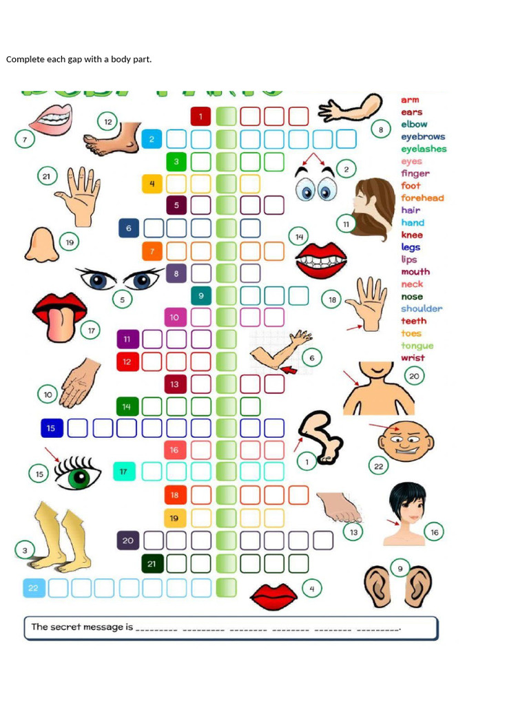 My Body Worksheet | PDF