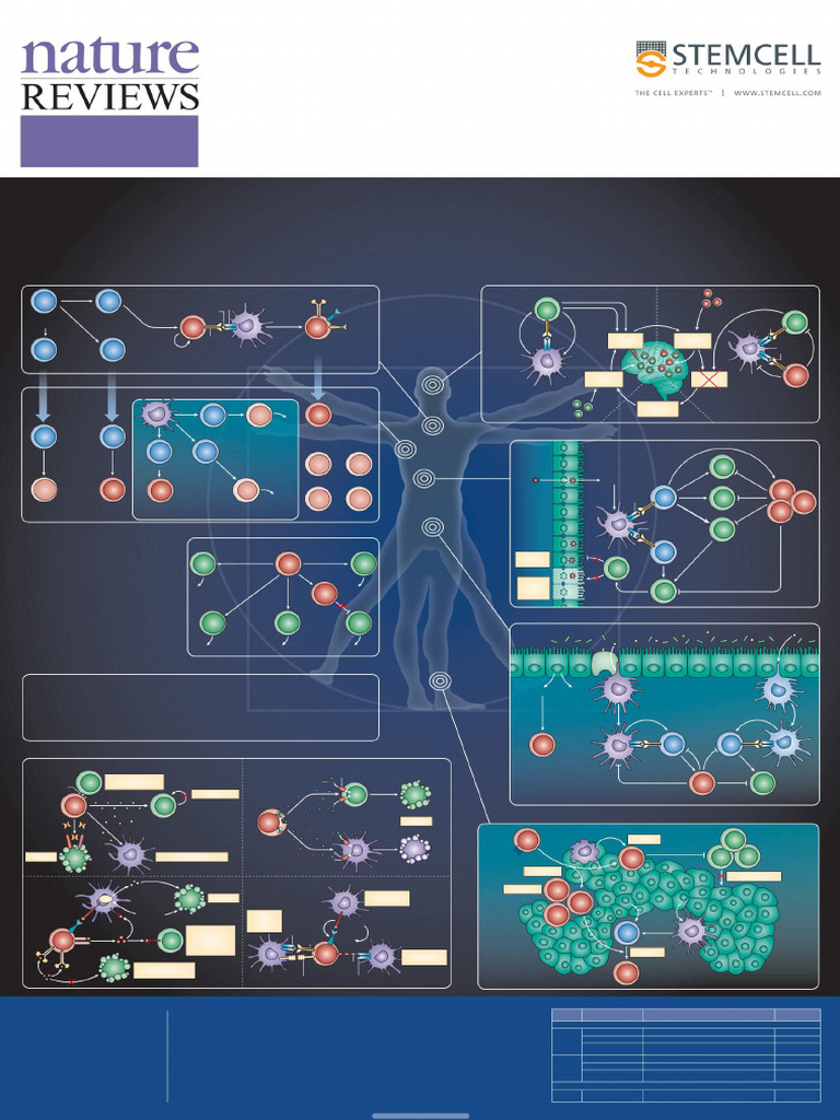 Referensi Poster Regulasi Sel T | PDF