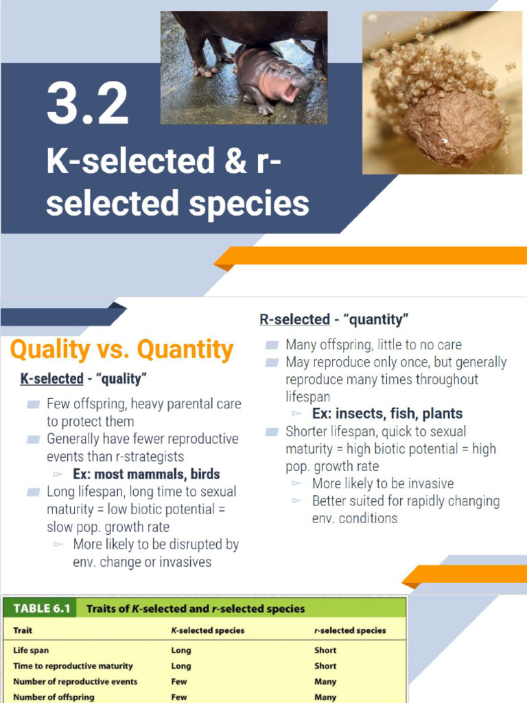 3.2 K-Selected and R-Selected Species | PDF