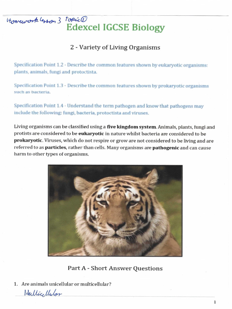Homework Lesson 3 Topic One Biology Year 9 | PDF
