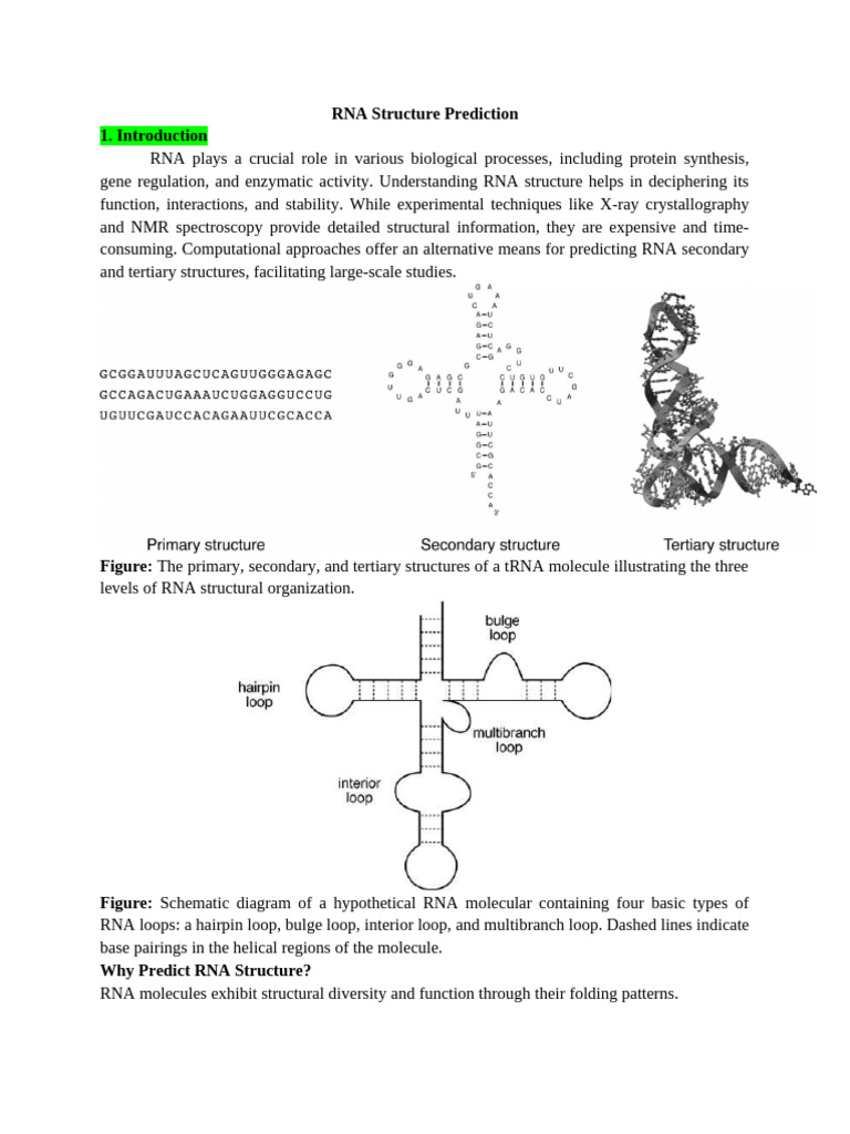 11-RNA Structure Prediction | PDF | Rna | Base Pair