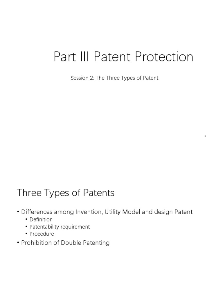 China Patent 2 Types of Patent | PDF | Patent | Patent Infringement