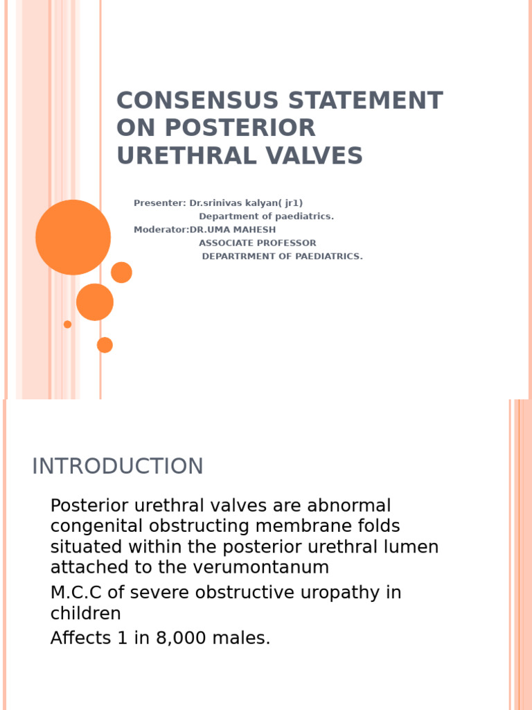 Understanding Posterior Urethral Valves | PDF | Organ (Anatomy) | Kidney