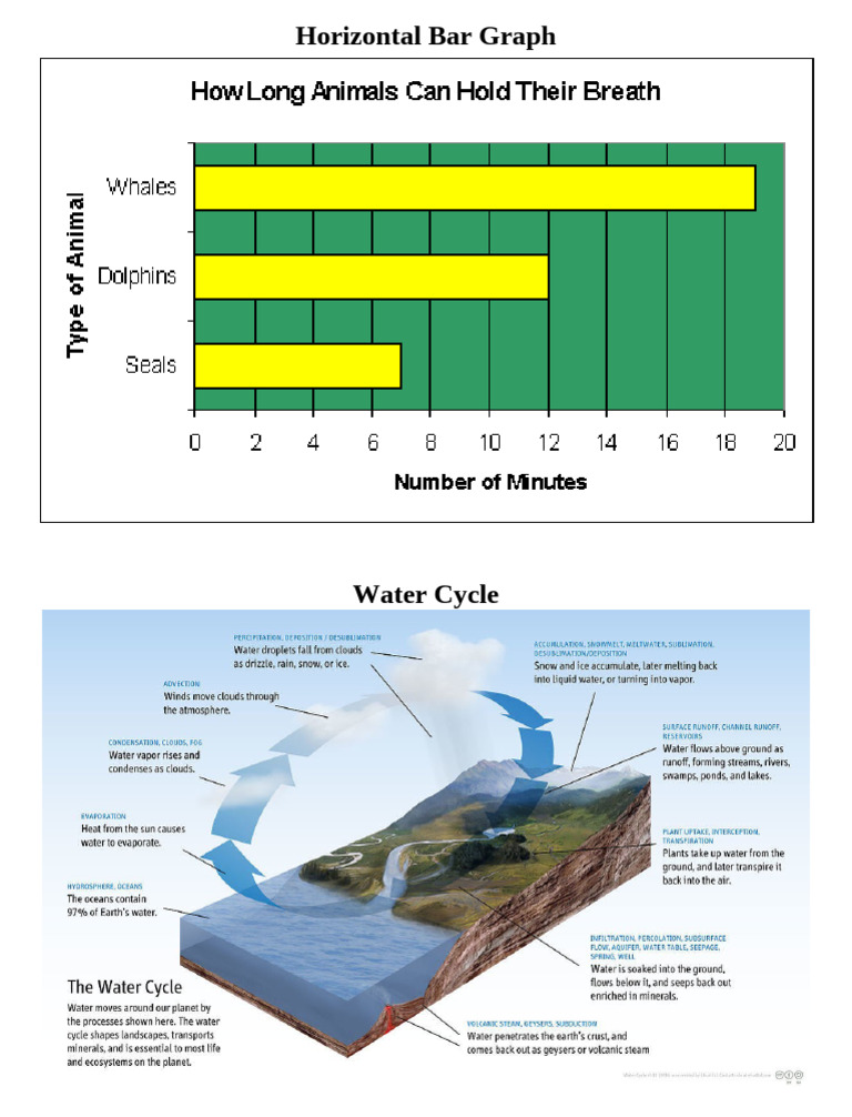 Horizontal Bar Graph | PDF